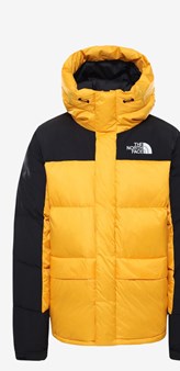 Domodi - największa platforma modowa w Polsce