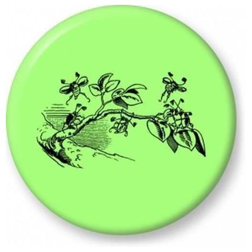 Broszka przypinka - 37 mm owady i gałązka SGiW-Krakow.pl